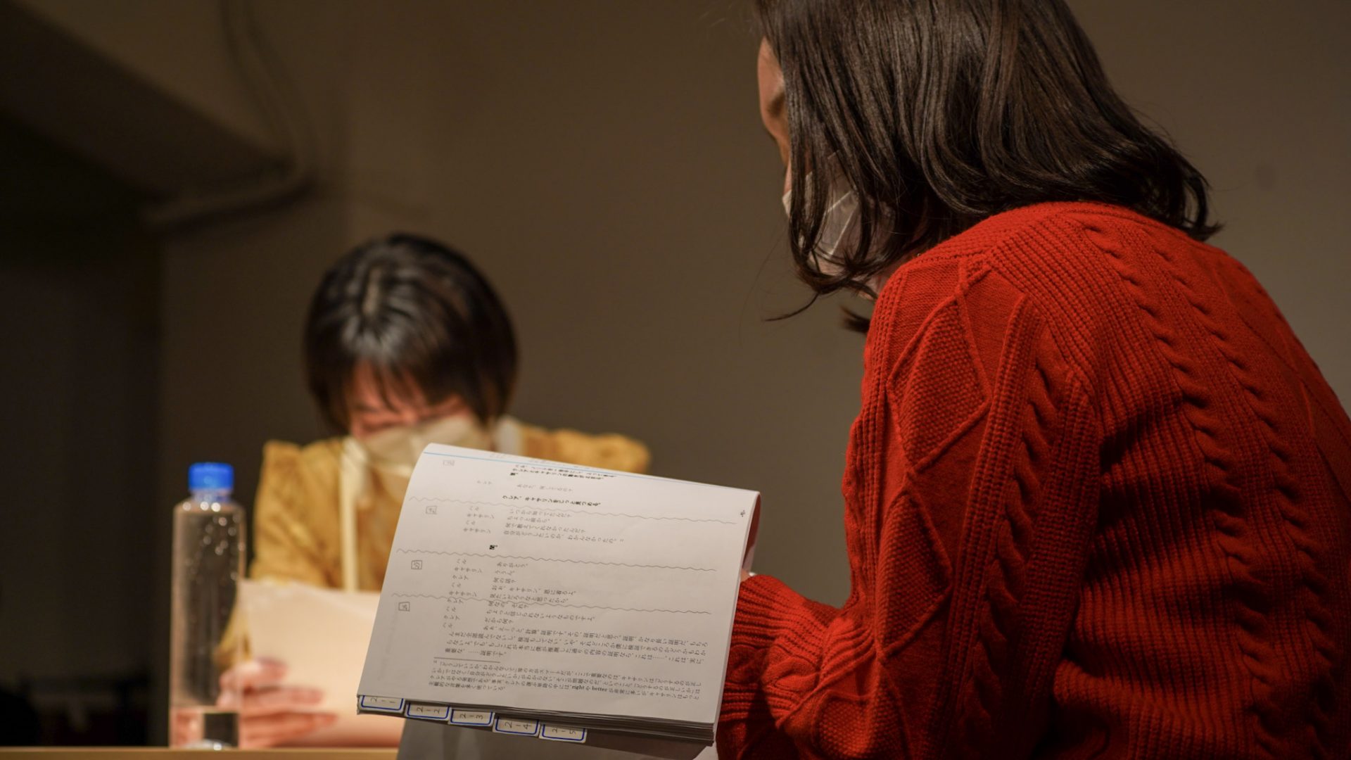 DULL-COLORED POP | 劇団DULL-COLORED POPのウェブサイト